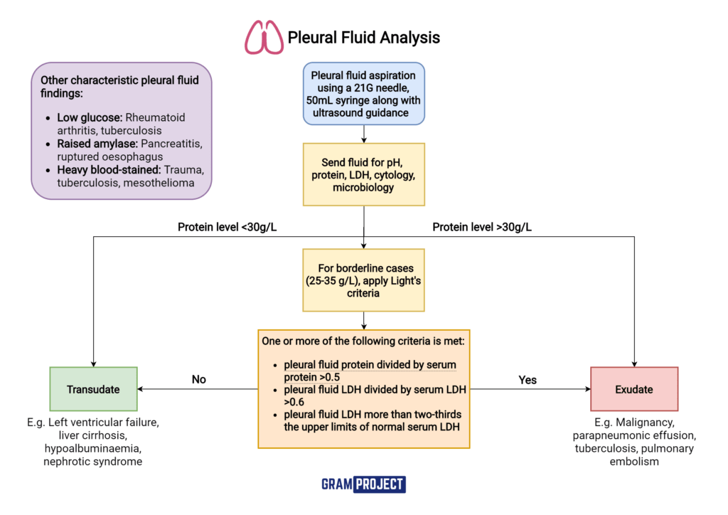 Pleural Fluid Analysis Gram Project Pleural Fluid Analysis Gram Project