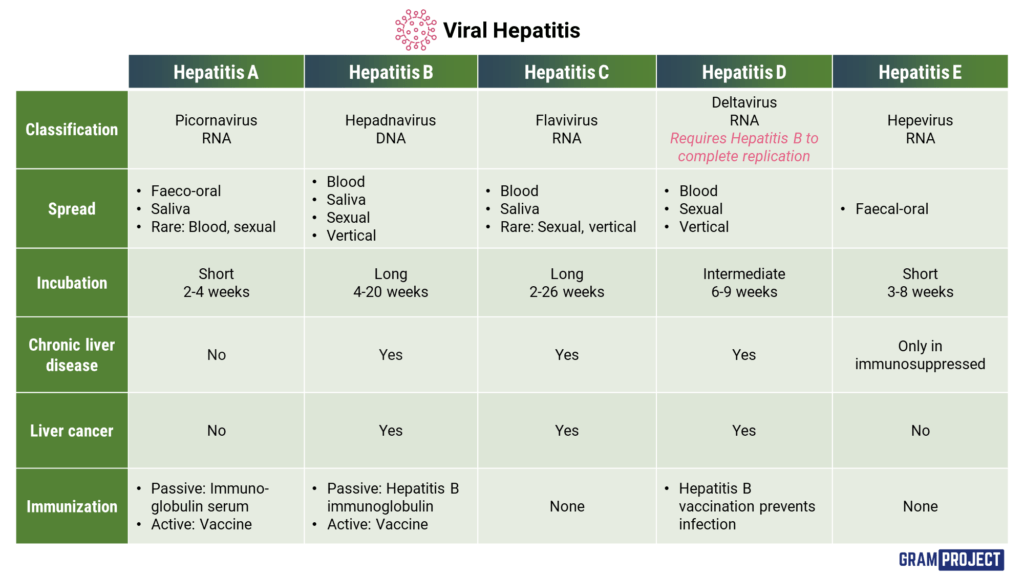 Viral Hepatitis - Gram Project