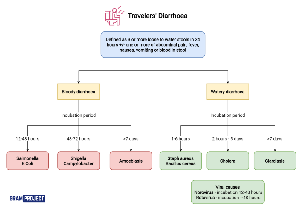 Traveler's Diarrhoea - Gram Project