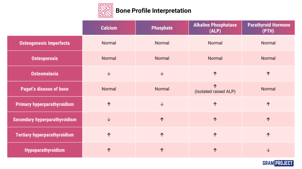 Bone Profile Interpretation Gram Project Bone Profile Interpretation Gram Project